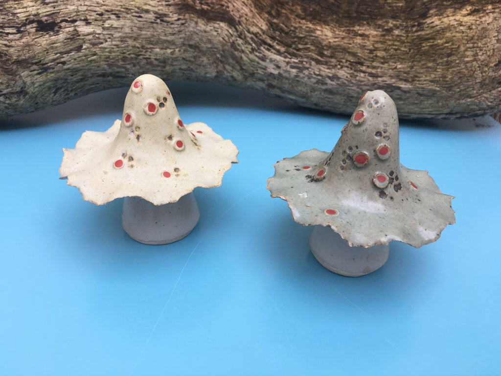John Hilder Toadstools – Coastal Craft Collective
